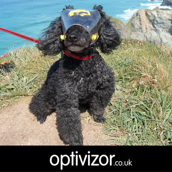 The Optivizor - Eye and Face Protection for Dogs – Optivizor.co.uk
